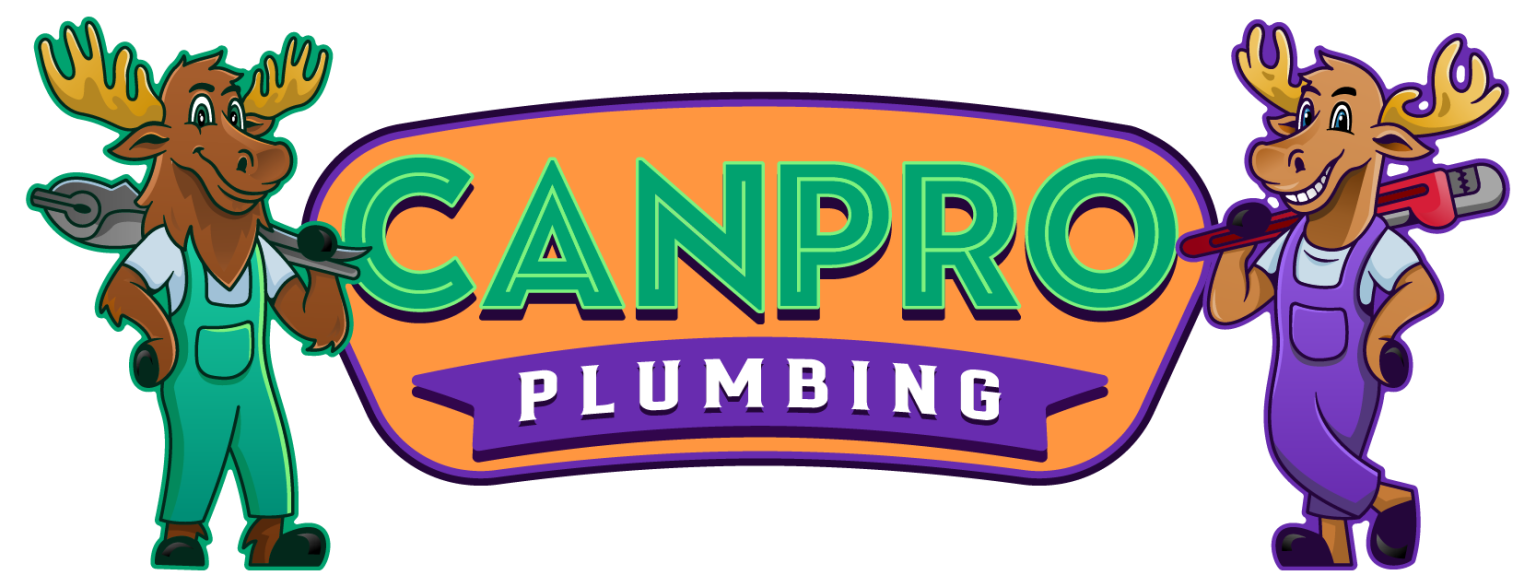 Top Rated Plumbers in Barrie, ON: Expert Solutions